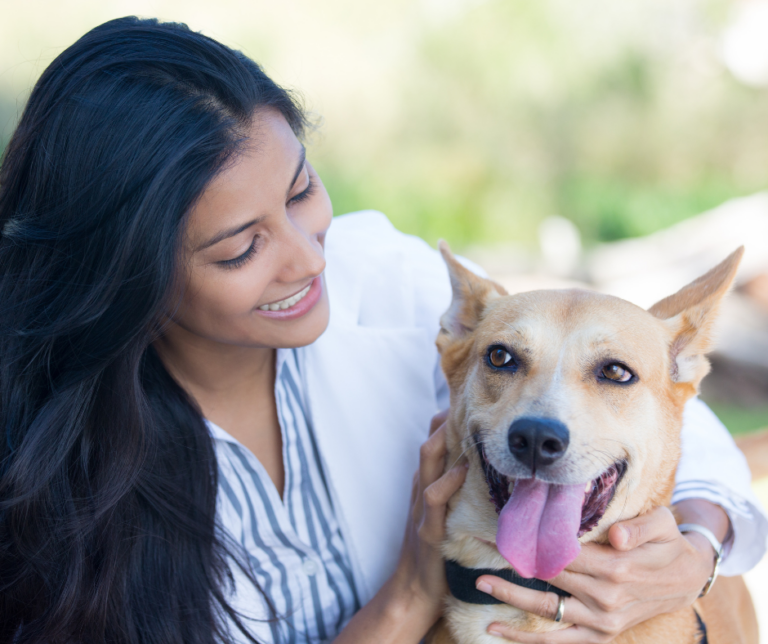 Donor Management Software for Animal Care Organizations • Little Green Light