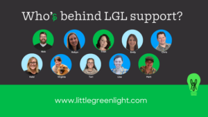 Blog • Little Green Light